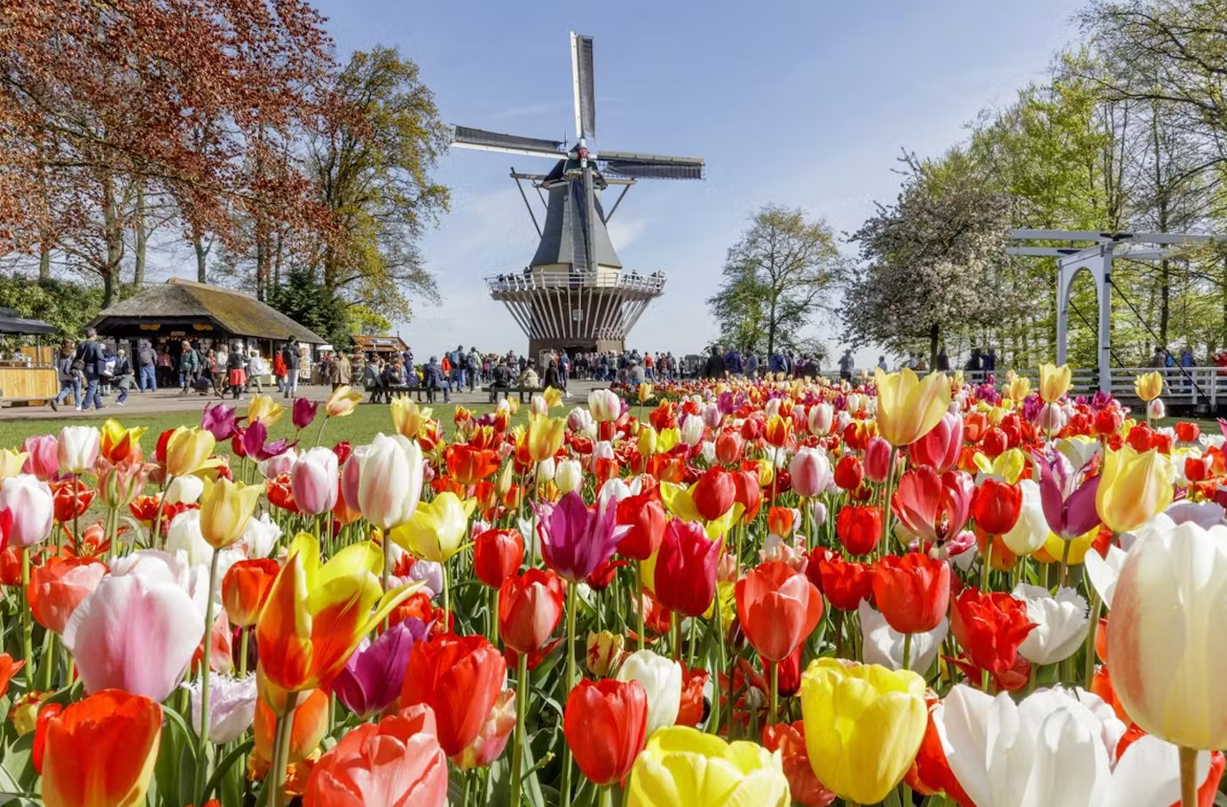 Keukenhof & Pannenkoekenboot Rotterdam - Pannenkoekenboot